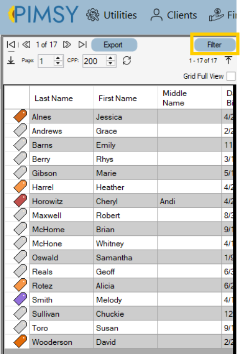 How to Use Filtering in PIMSY – PIMSY EHR Help Desk