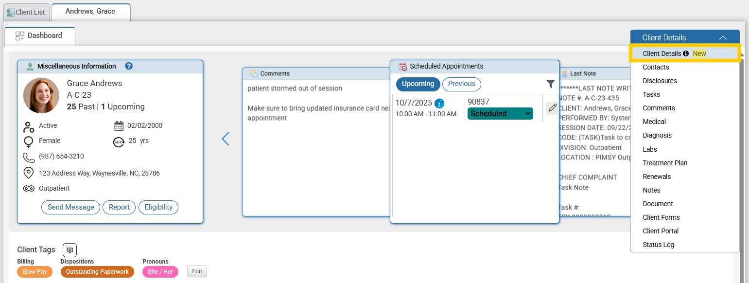 How to Navigate the Client Details Tab in the Provider Portal – PIMSY ...