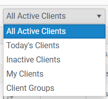 How to Navigate the Client List in the Portal – PIMSY EHR Help Desk